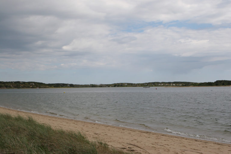 Wellfleet Beaches - The Southfleet