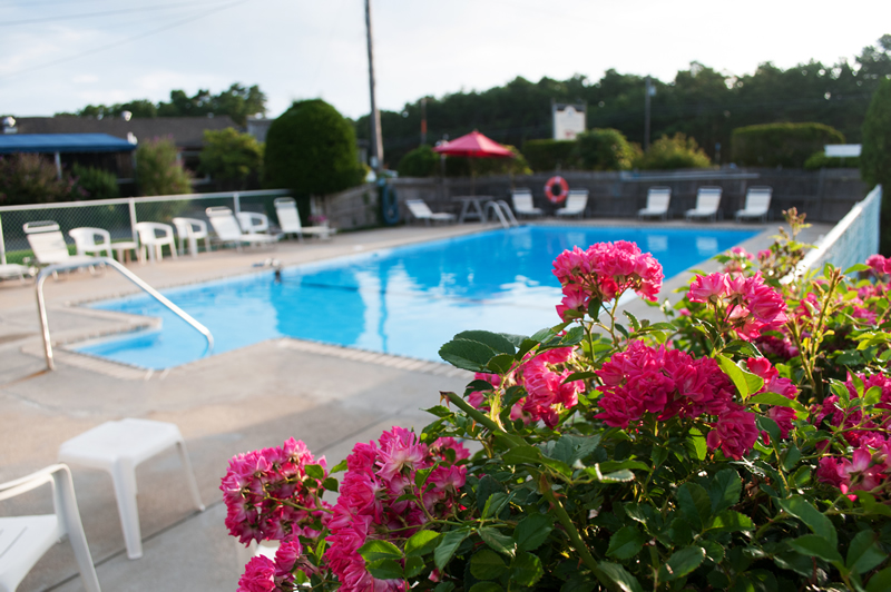 Southfleet Motor Inn - Wellfleet Motel on Cape Cod