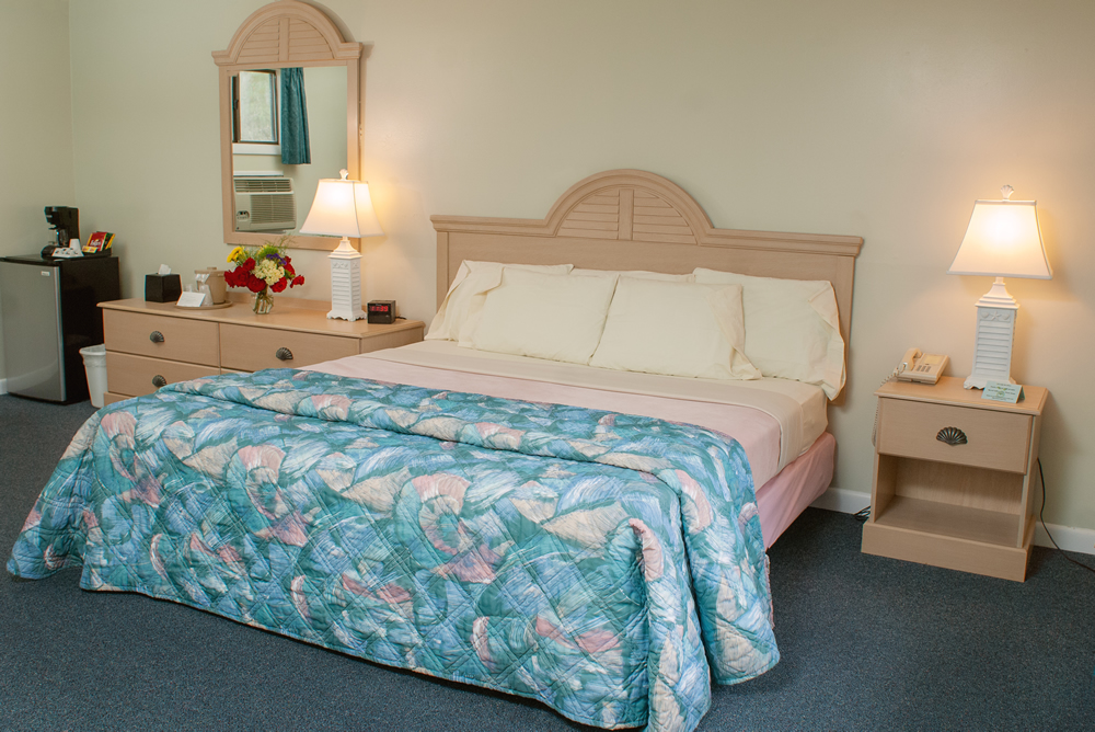 Opening May 3, 2024 - The Southfleet