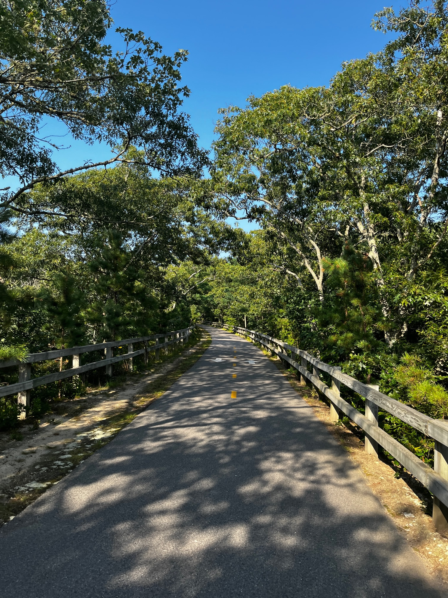 Exploring Cape Cod's Beauty: Biking the Cape Cod Rail Trail - The ...